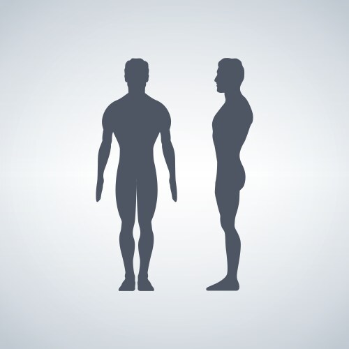 Human Body Front Back Outline Vector Images (over 650)