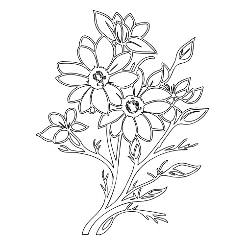 Sakura flower outline sketch Royalty Free Vector Image