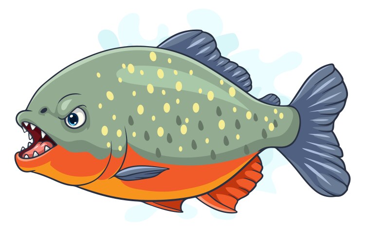 Cartoon flowerhorn fish on white background Vector Image
