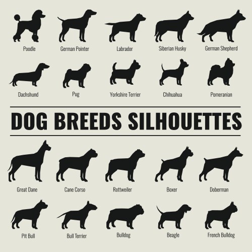 Dog Outline Drawing Vector Images (over 38,000)