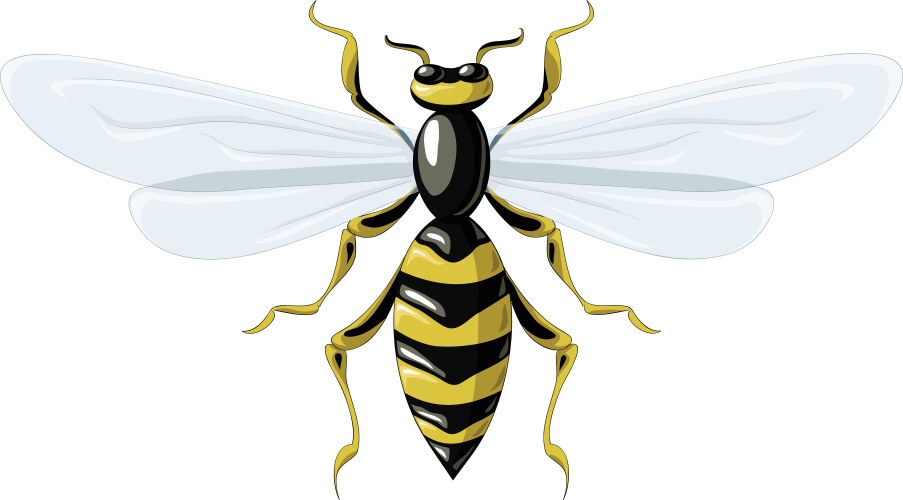 Green fly Royalty Free Vector Image - VectorStock