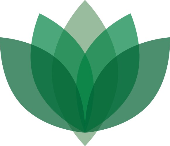 Lotus leaf Royalty Free Vector Image - VectorStock