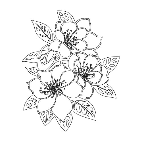 Sakura flower outline sketch Royalty Free Vector Image