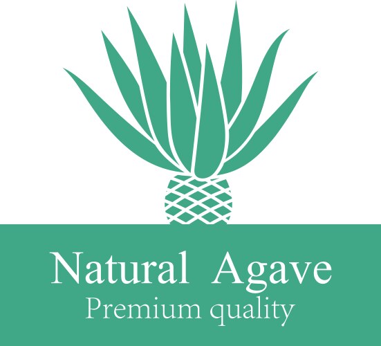 Agave Royalty Free Vector Image - VectorStock