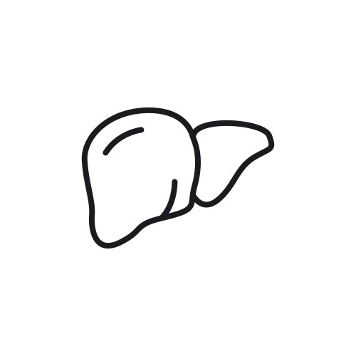 Liver icon set on white background Royalty Free Vector Image