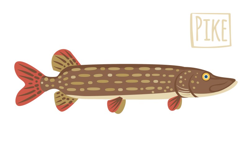 Pike Vector Images (over 7,300)