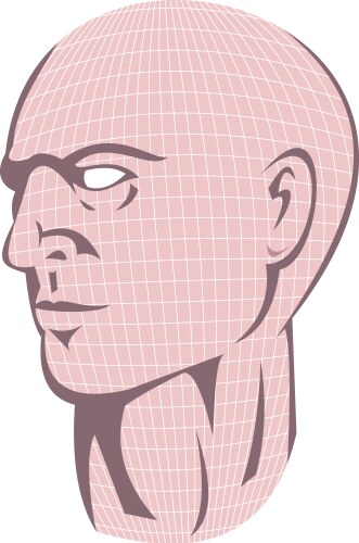 Human Head Vector Images (over 330,000)