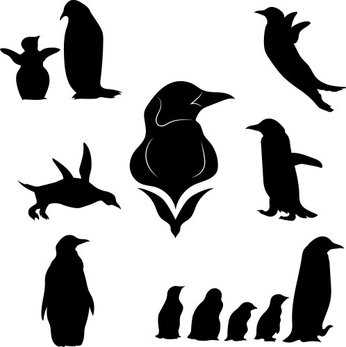 Penguin Vector Images (over 34,000)