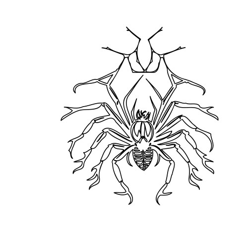Spider halloween outline sketch Royalty Free Vector Image