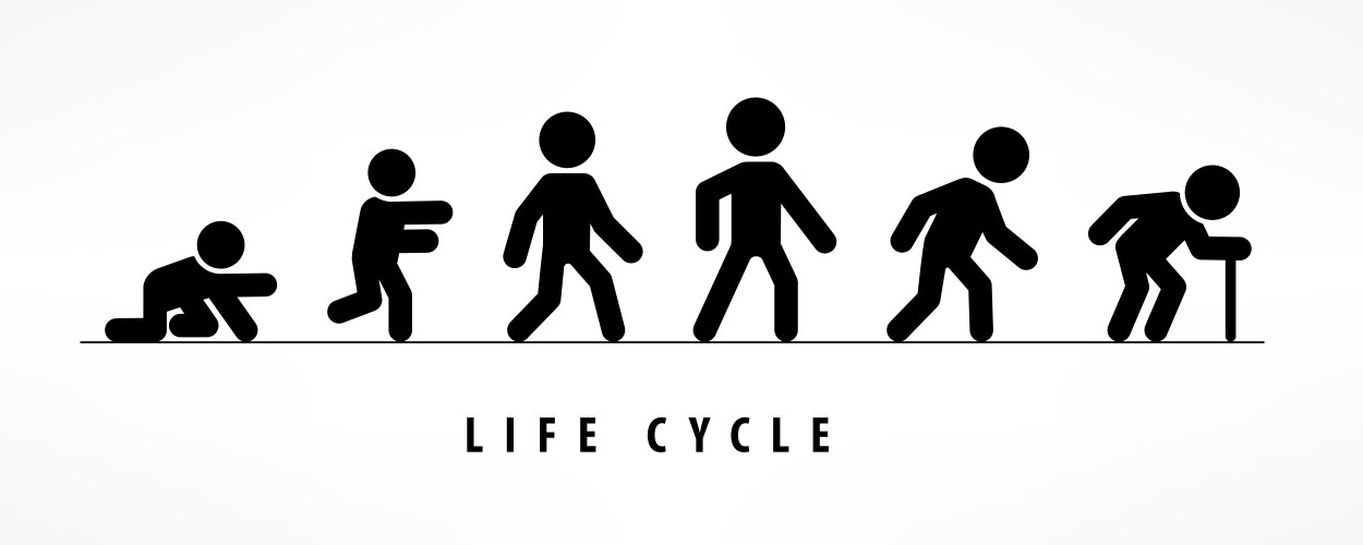 Human life cycle silhouette icon Royalty Free Vector Image