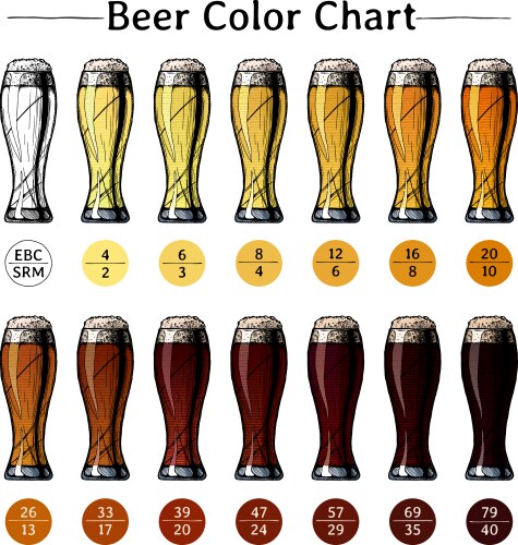 Beer color chart Royalty Free Vector Image - VectorStock