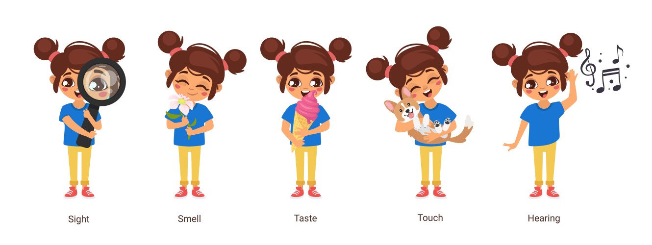 Five Senses Vector Images (over 810)