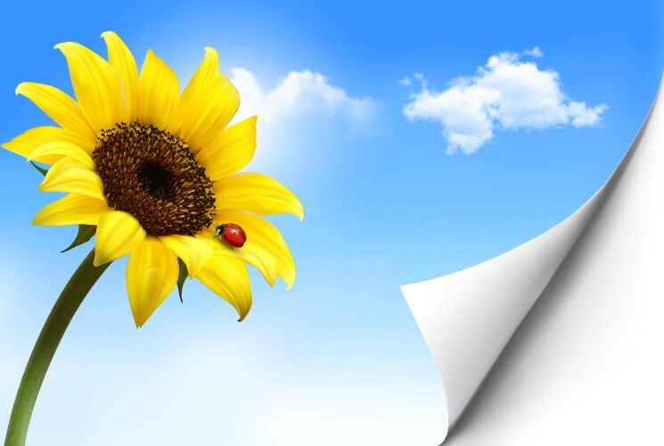 Simple Sunflower Vector Images (over 6,100)