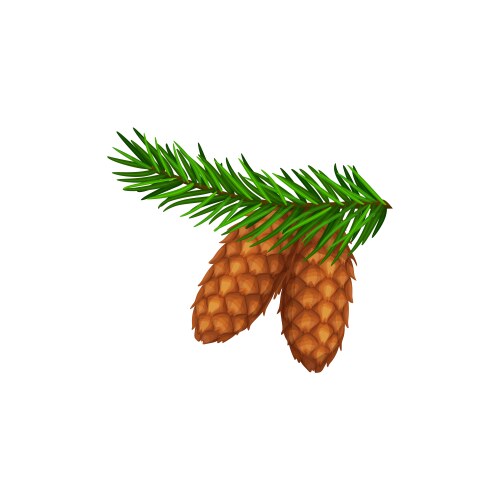 Pinecone Vector Images (over 6,400)