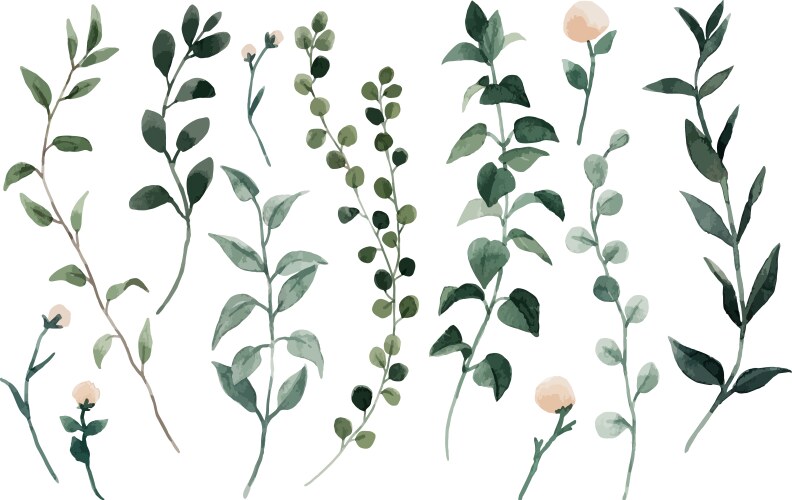 Beautiful clip art stock set Royalty Free Vector Image