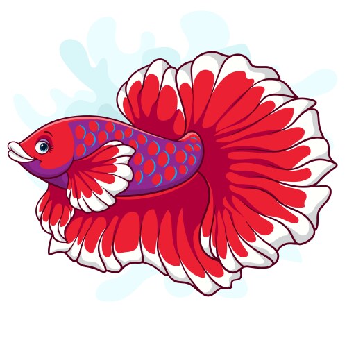 Cartoon flowerhorn fish on white background Vector Image
