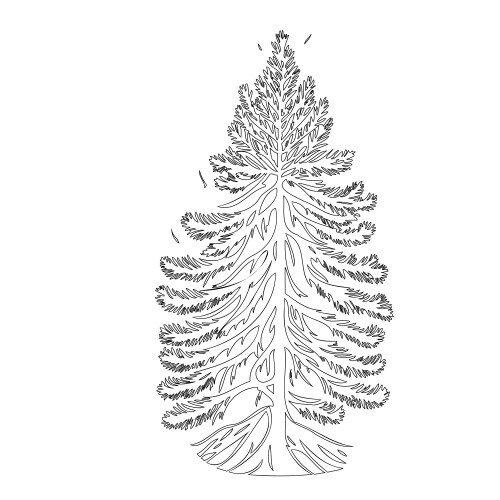Pine tree nature outline sketch Royalty Free Vector Image