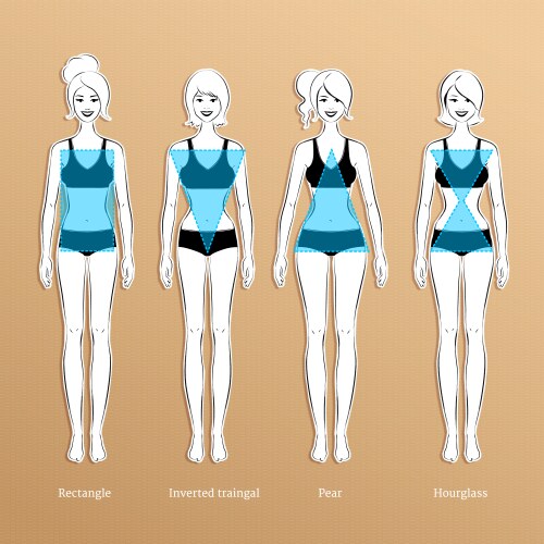 Female body types characters Royalty Free Vector Image