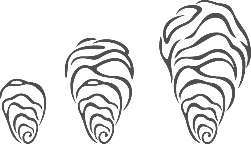 Oyster Royalty Free Vector Image - VectorStock