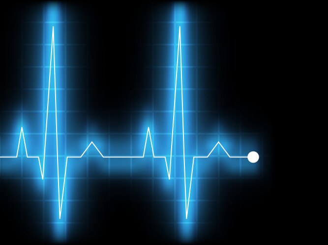 Normal electrocardiogram ecg eps 8 Royalty Free Vector Image