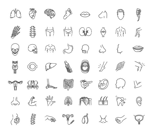 Human Body Parts Outline Vector Images (over 5,200)