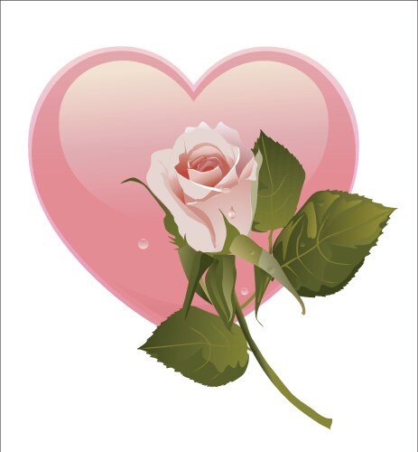 Rose Heart Vector Images (over 41,000)