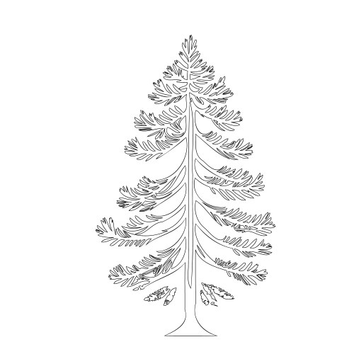 Pine tree nature outline sketch Royalty Free Vector Image