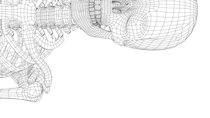 Human skeleton structure banner Royalty Free Vector Image