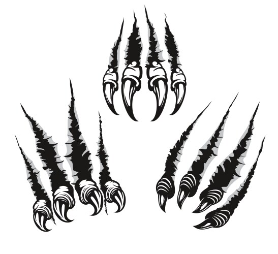 Claw Marks Vector Images (over 3,000)