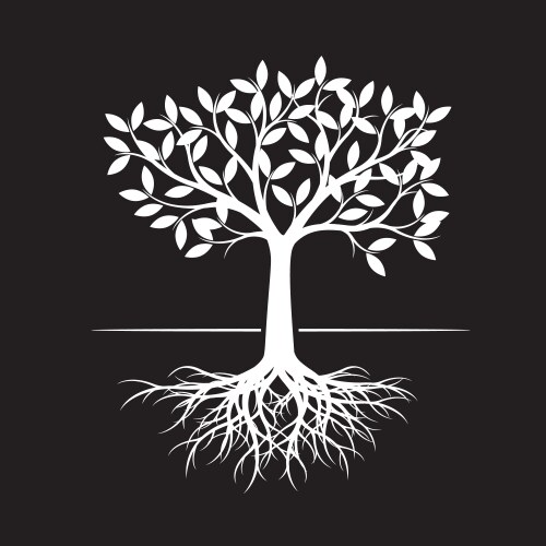 Tree Roots Black and White Vector Images (over 2,900)