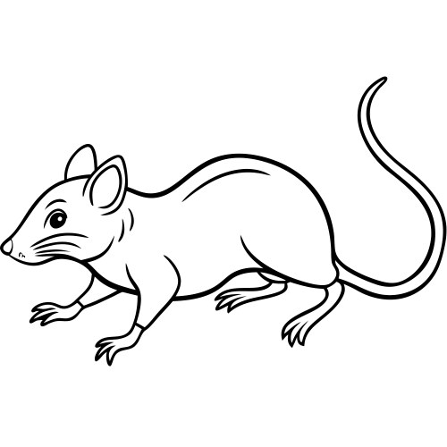 Rice Cartoon Vector Images (over 17,000)