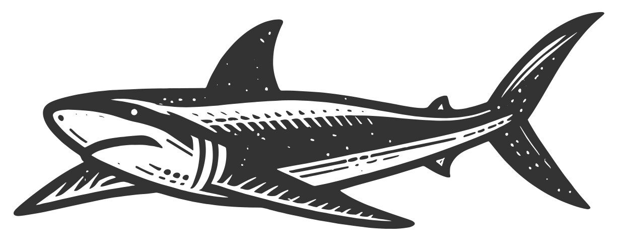 Shark sea animal engraving Royalty Free Vector Image