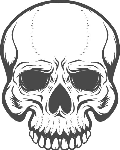 Triangle human skull Royalty Free Vector Image