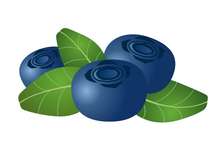 Blueberry Vector Images (over 27,000)