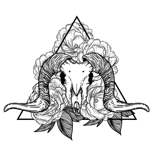 Ram skull Royalty Free Vector Image - VectorStock