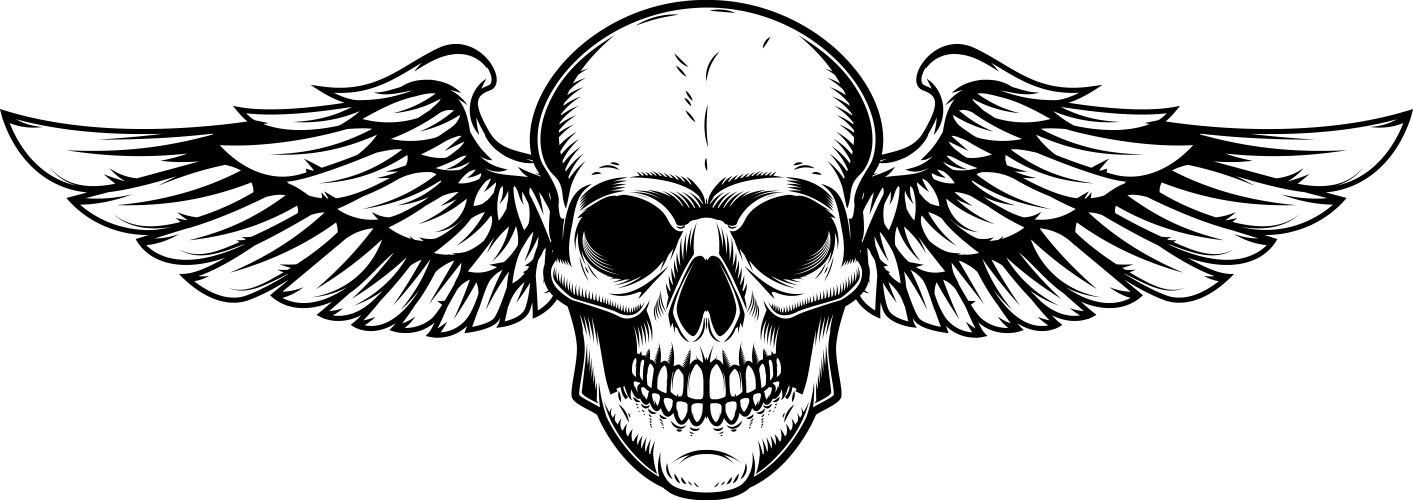 Winged skull design element for emblem sign Vector Image