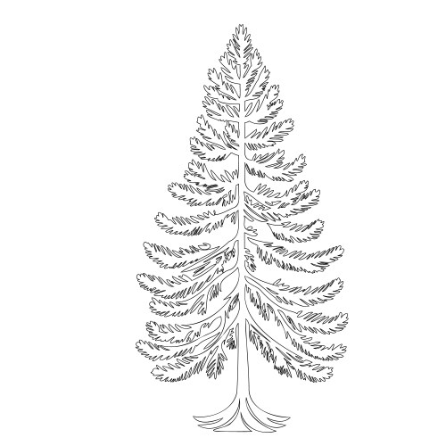 Pine tree nature outline sketch Royalty Free Vector Image