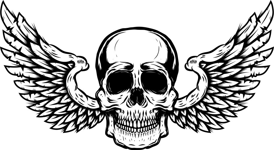 Winged skull design element for emblem sign Vector Image