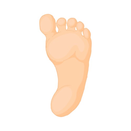 Blue baby foot print Royalty Free Vector Image