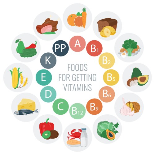 Functional Food Vector Images (over 1,100)