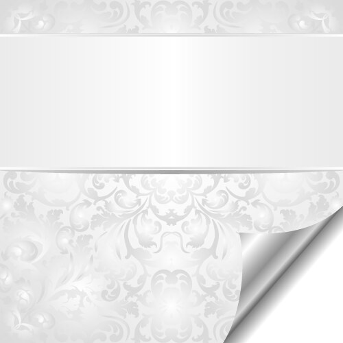 White background Royalty Free Vector Image - VectorStock