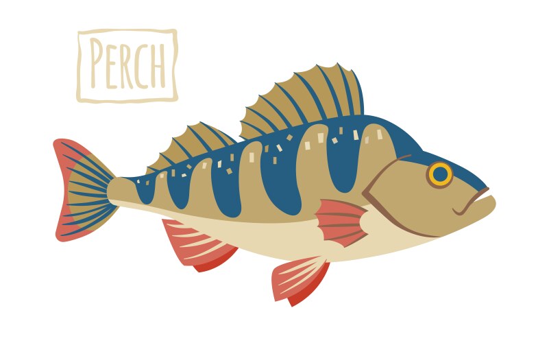 Perch Royalty Free Vector Image - VectorStock
