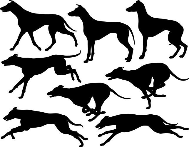 Running cartoon dog animation sprite sheet Vector Image