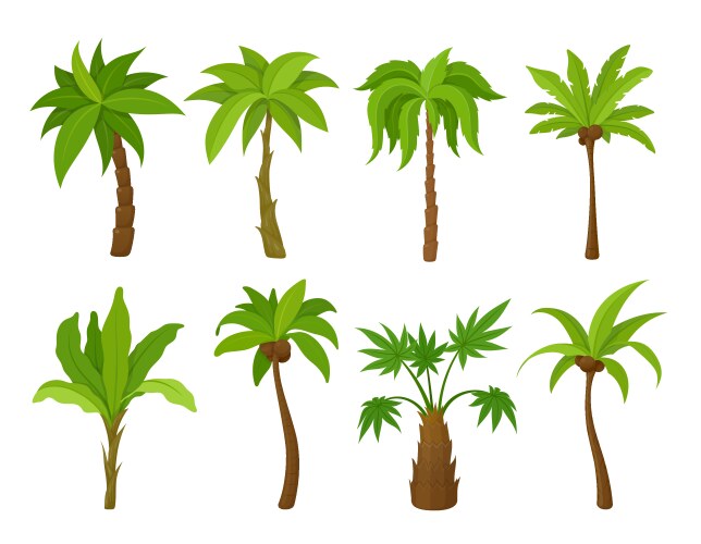 Coconut Tree Cartoon Vector Images (over 6,600)