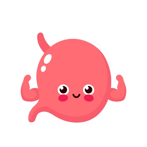 Strong healthy happy stomach character Royalty Free Vector