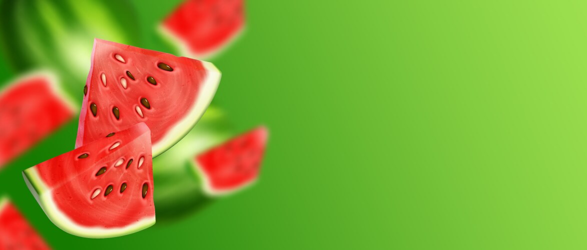 Watermelon Triangle Slice Vector Images (over 470)