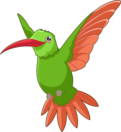 Hummingbird animal colored cartoon Royalty Free Vector Image