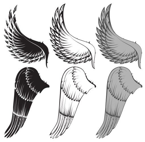Wings Vector Images (over 470,000)