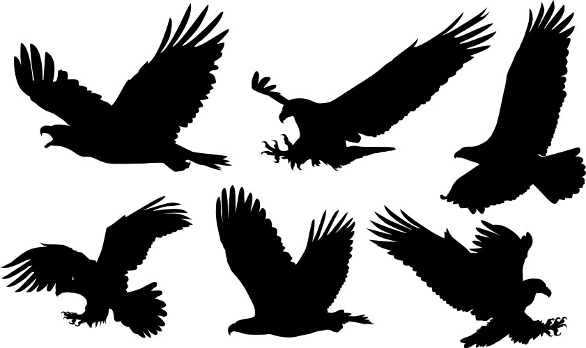 Attacking Eagle Vector Images (over 1,500)