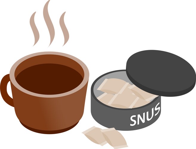 Swedish snus chewing tobacco isometric icon Vector Image